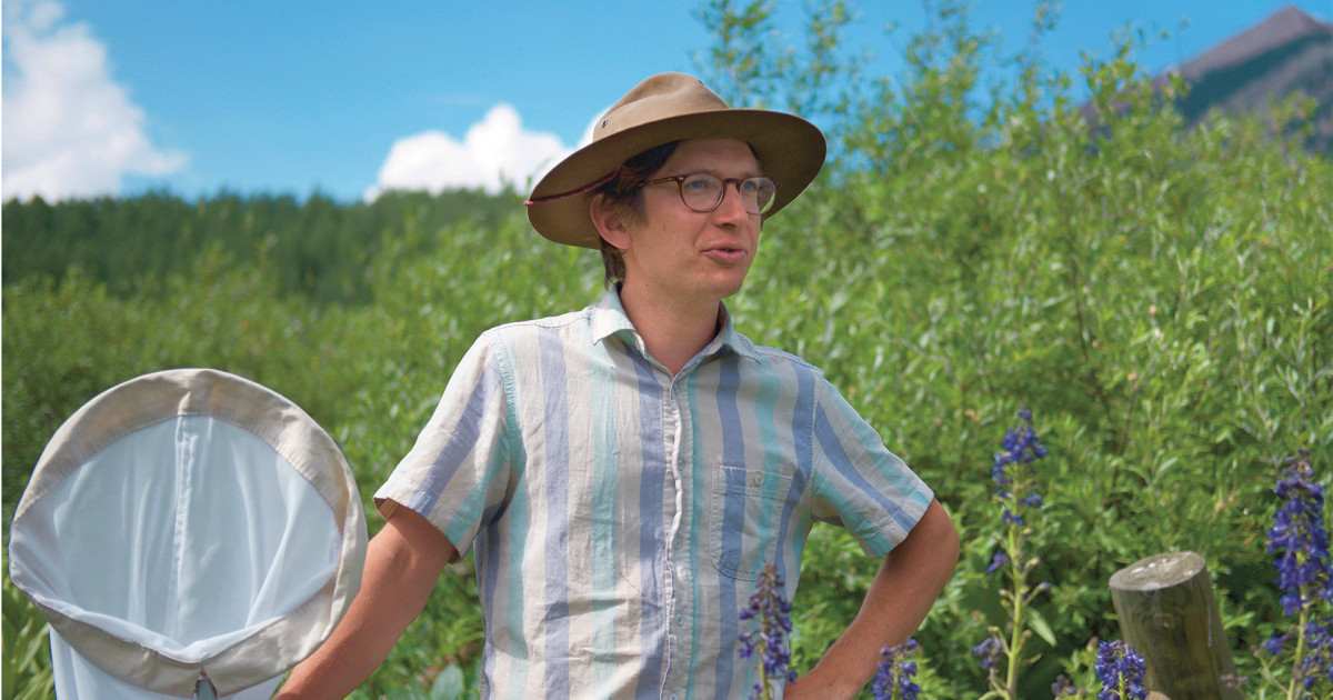Northwestern Magazine: Climate Change Poses Serious Risk for Some Bees