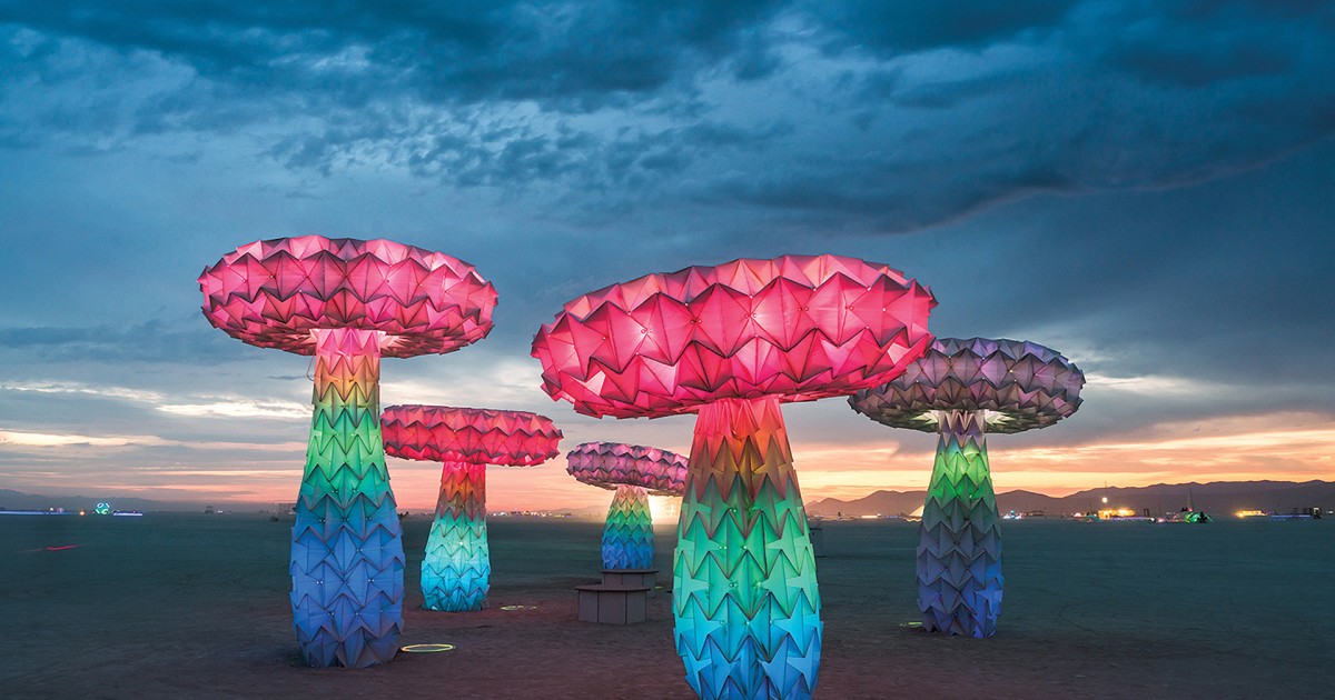 Northwestern Magazine: 'Shroom Art