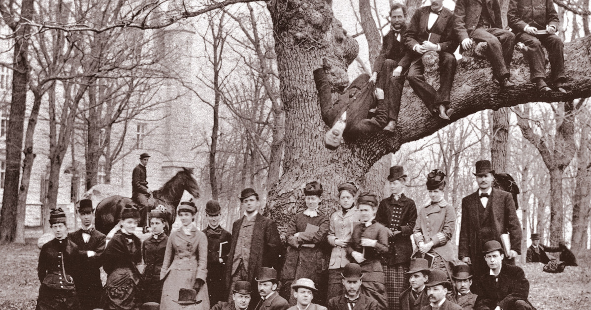 Northwestern Magazine: Roots