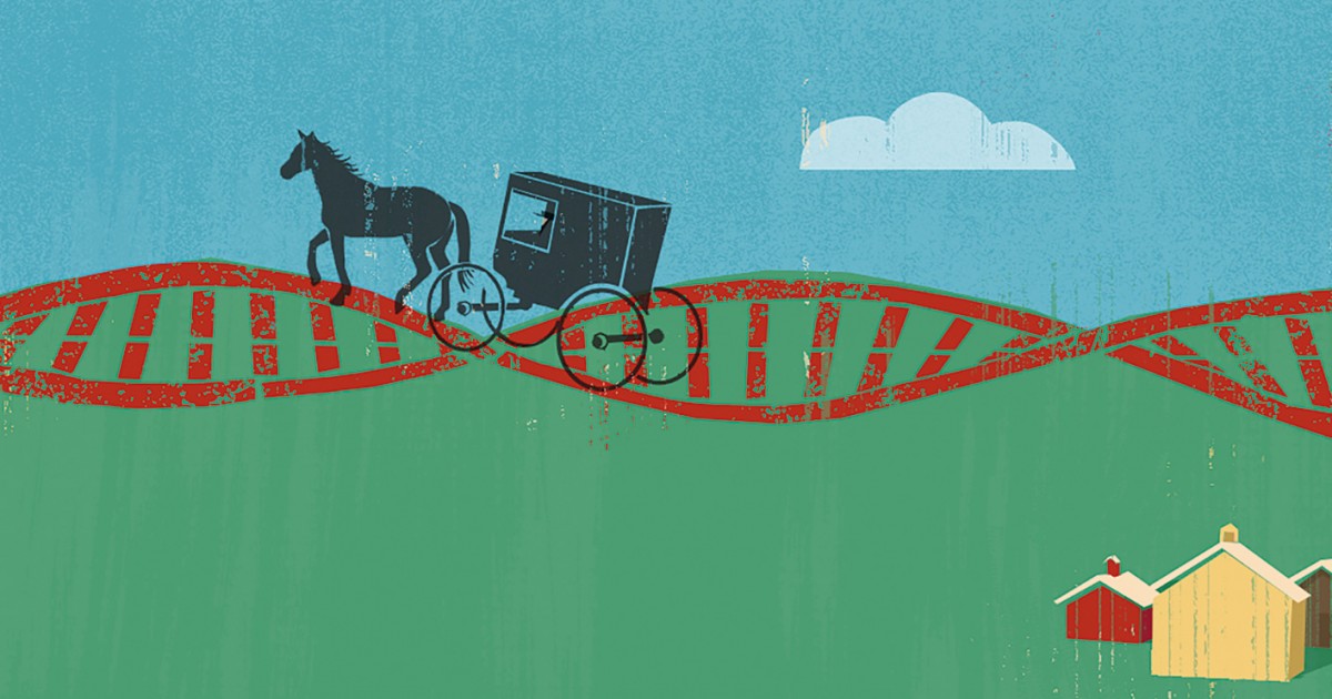 Northwestern Magazine: Amish Fountain of Youth