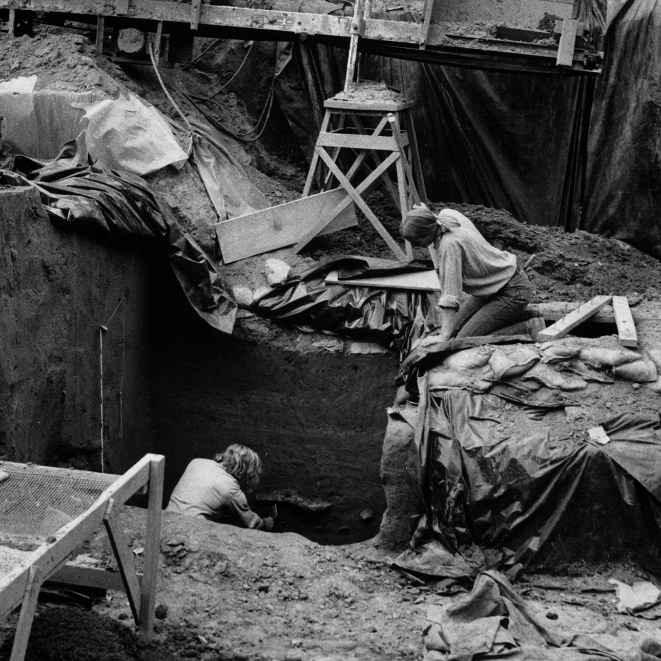 Northwestern Magazine: The Koster Site: An Archaeological Treasure Trove