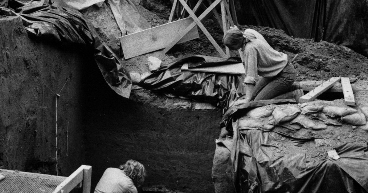 Northwestern Magazine: The Koster Site: An Archaeological Treasure Trove