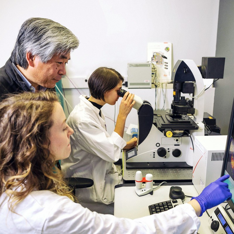 Northwestern Magazine: A New Way to Predict Alzheimer’s