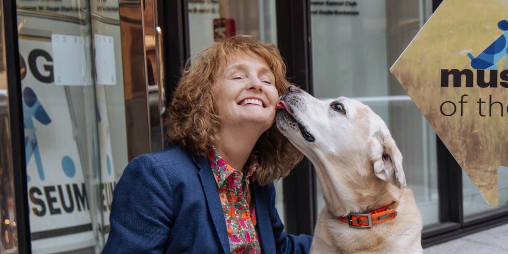 Northwestern Magazine: For the Love of Dogs