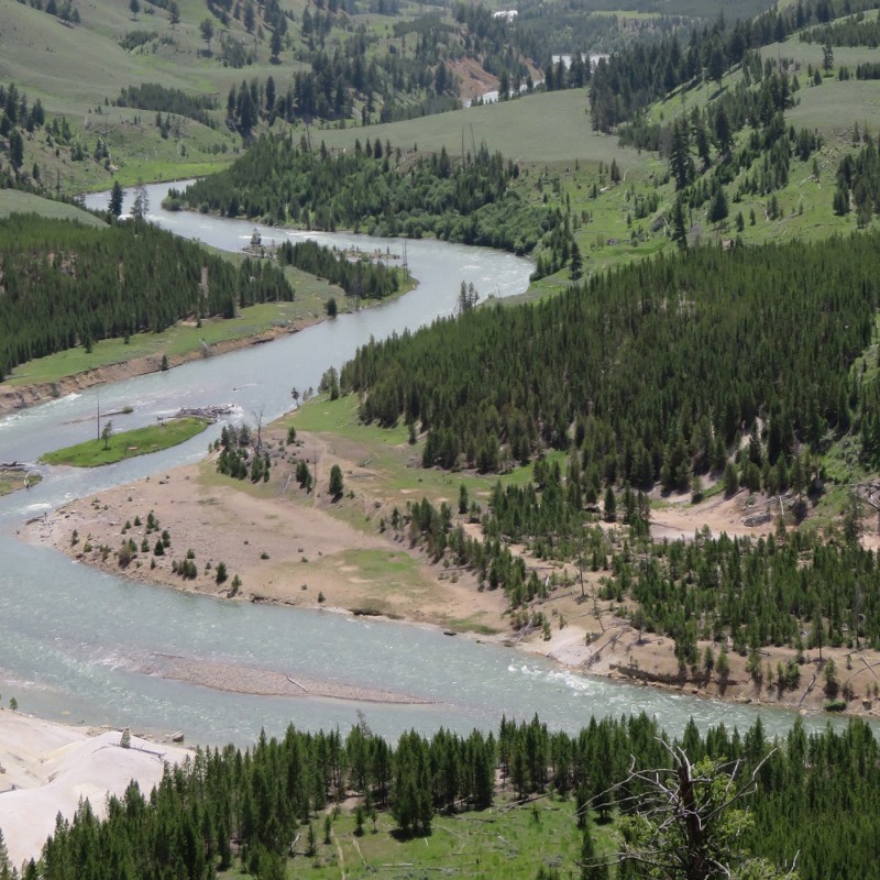 Northwestern Magazine: The Hunt for Treasures Bold