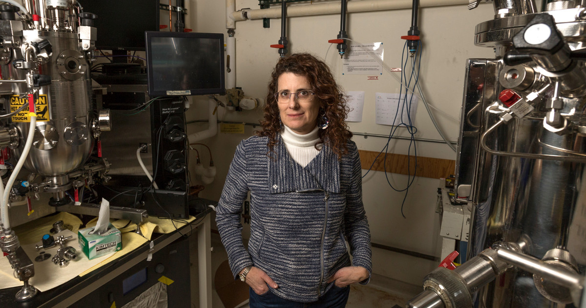 Northwestern Magazine: The Powerful World of Proteins